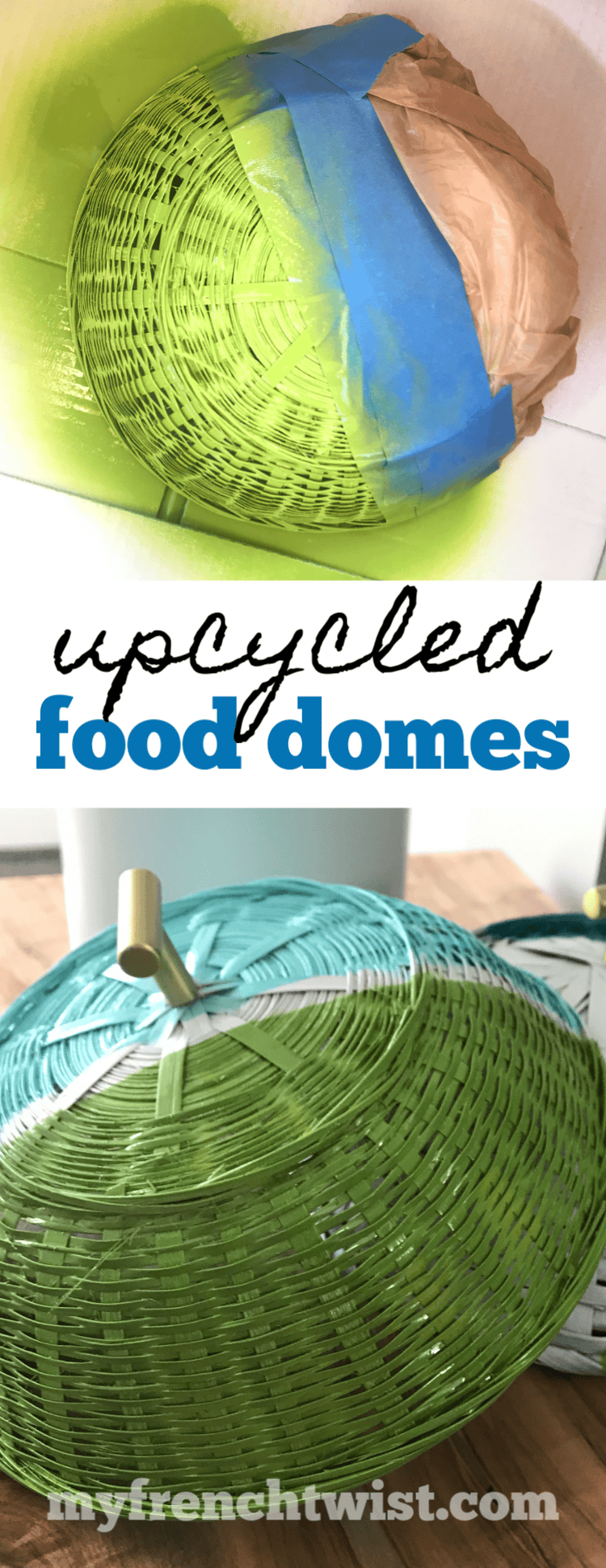 diy picnic food domes - My French Twist